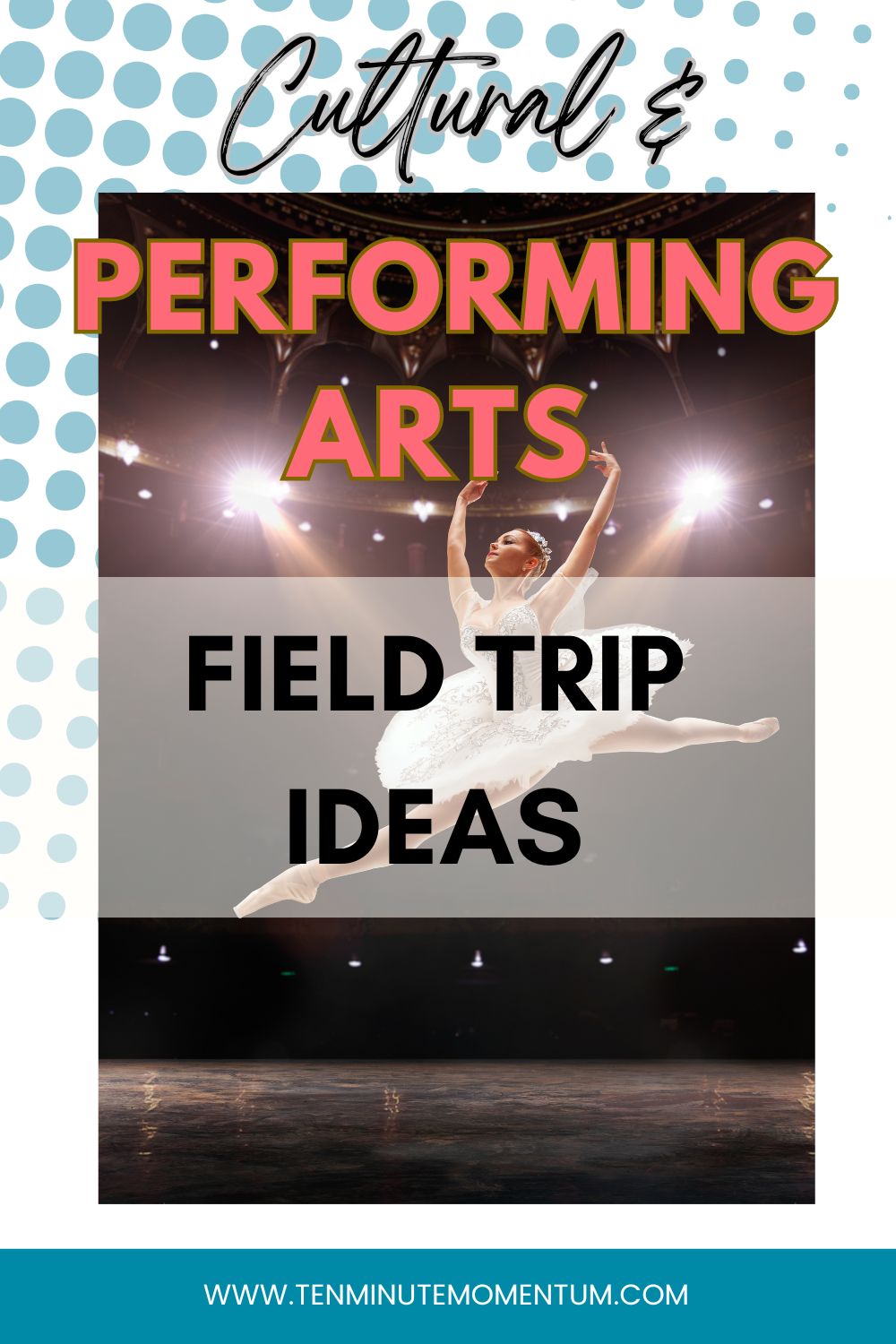 200+ Fun Field Trip Ideas for Schools and Homeschools