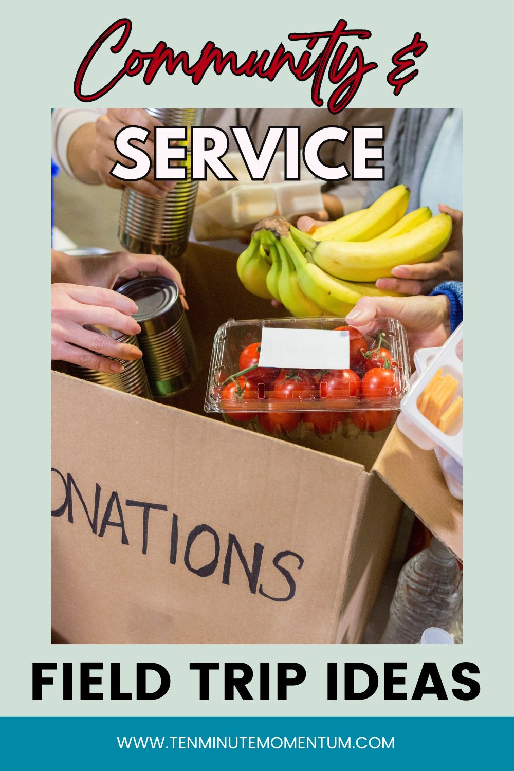 200+ Fun Field Trip Ideas for Schools and Homeschools