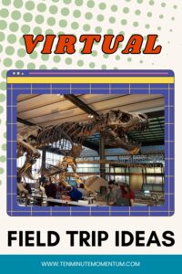 200+ Fun Field Trip Ideas for Schools and Homeschools